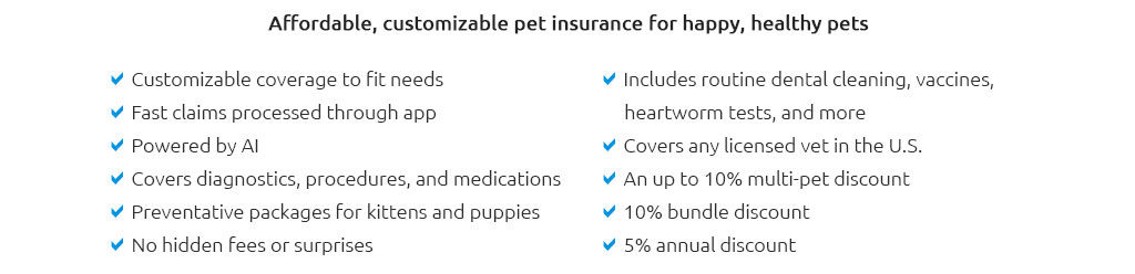 Quote for Pet Insurance: Uncover Insider Tips Today